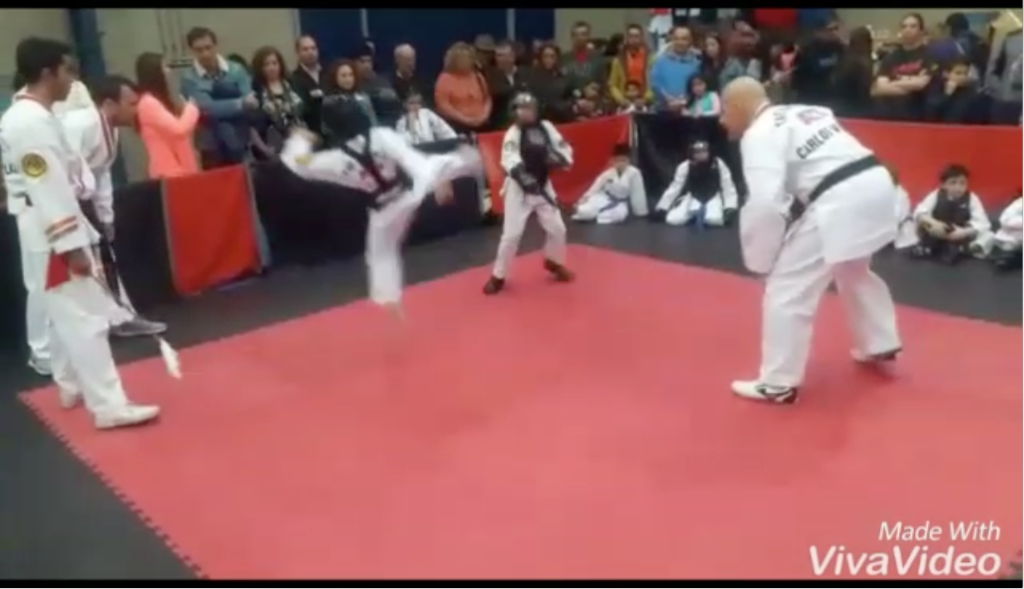 Vicente Ortega - Torneo Nacional de Taekwondo ATA Bekho - Mayo 2017 ...